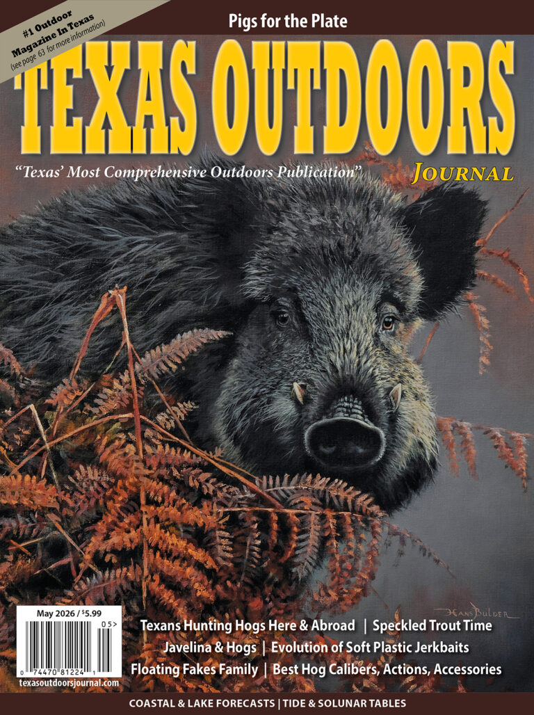 What is New for Hunting Season 2025-26 - Texas Outdoors Journal